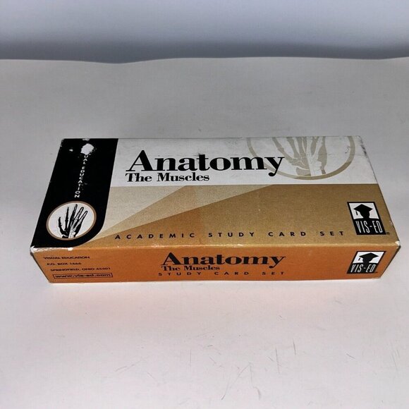 Office | Anatomy The Muscles Vised Cards Set Of 25 | Poshmark